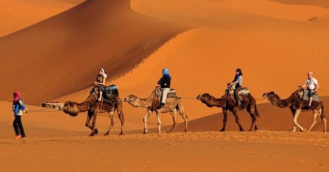 Pilgrims will travel from Makkah to Madinah on camel backs - The ...